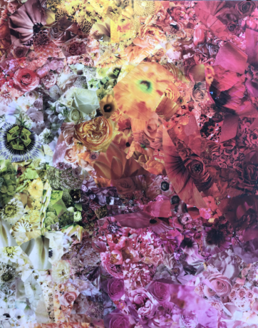 Sue Fox - Artist - LOCATE Arts