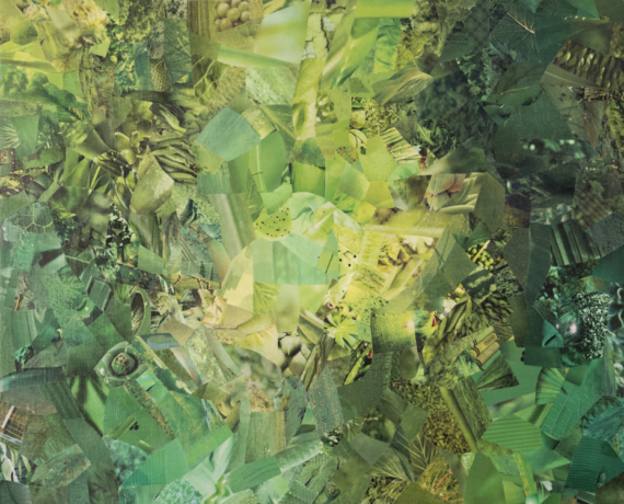 Sue Fox - Artist - LOCATE Arts